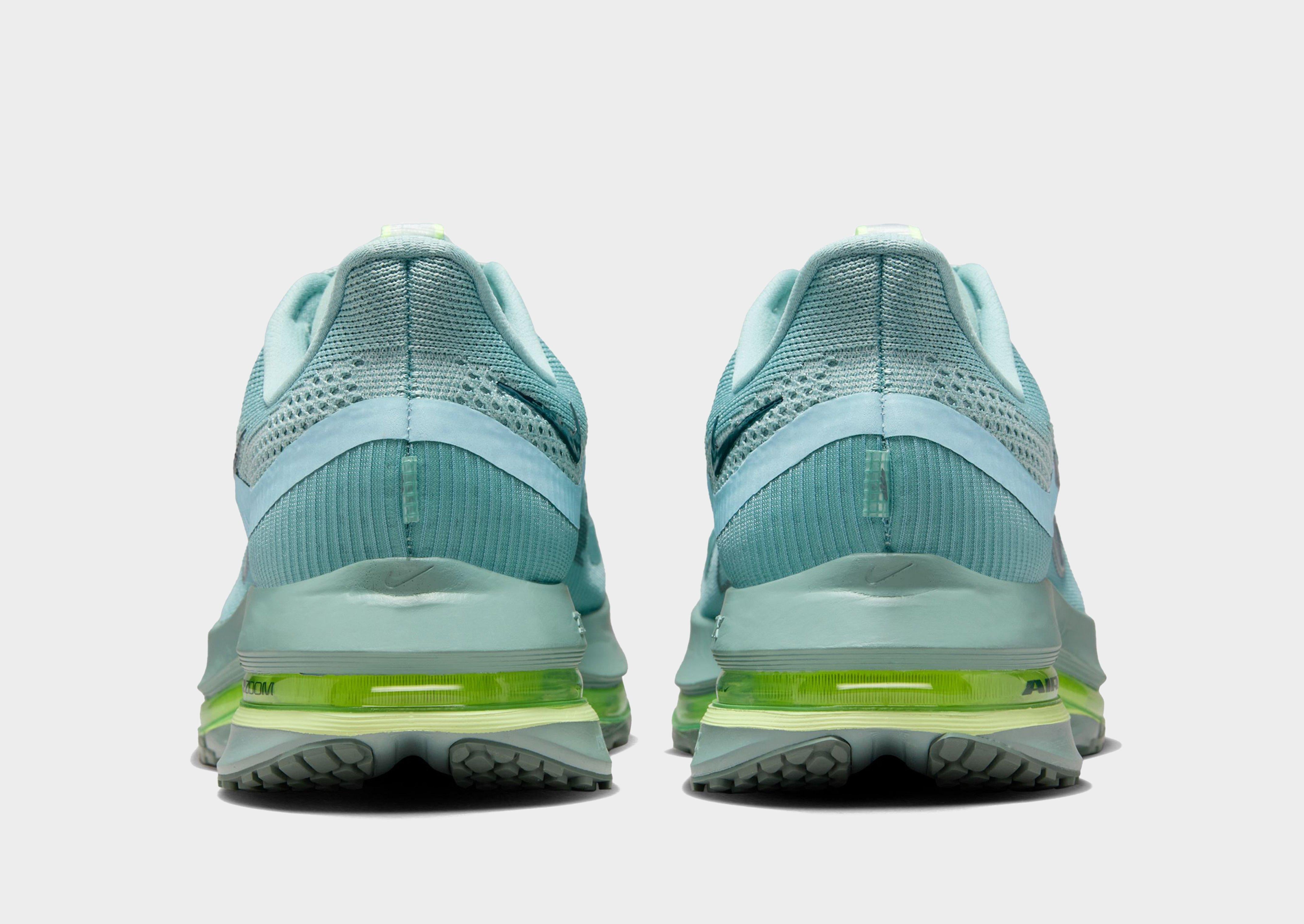 Nike Pegasus Premium – JD Sports Philippines